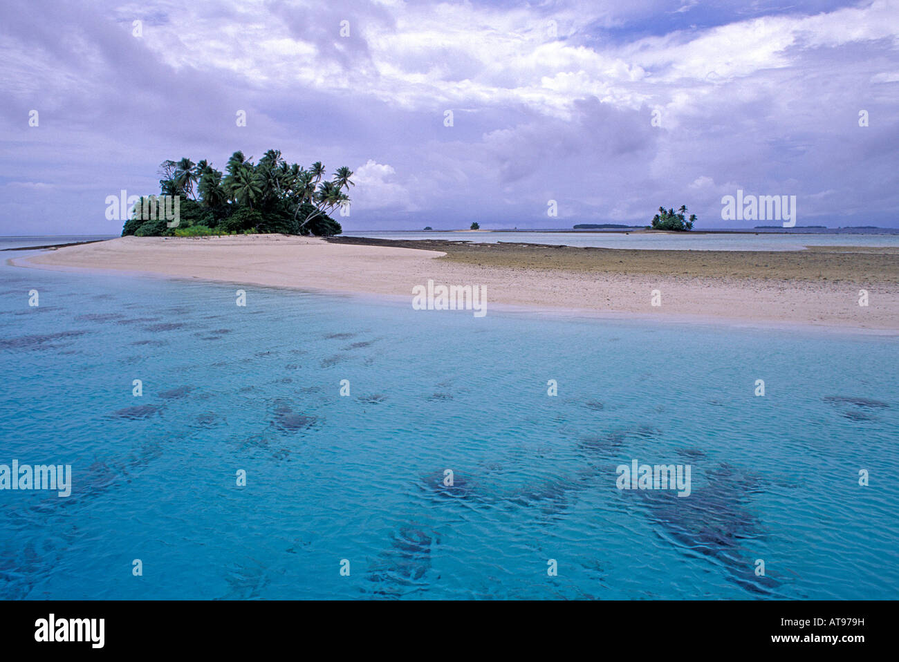 tiny white sand beach with a lone stand of palm trees rises from the ...