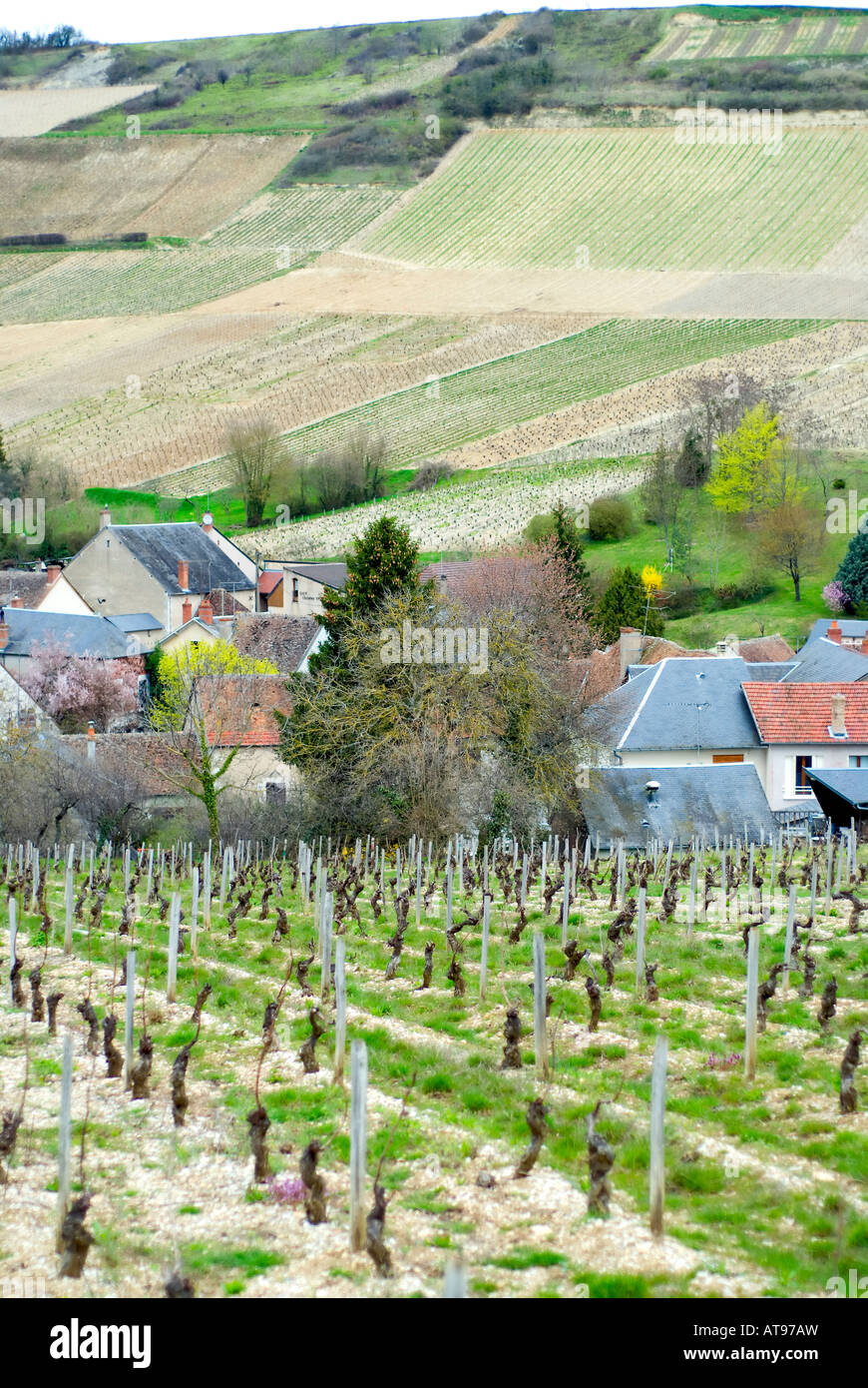 Chauvignol hi-res stock photography and images - Alamy