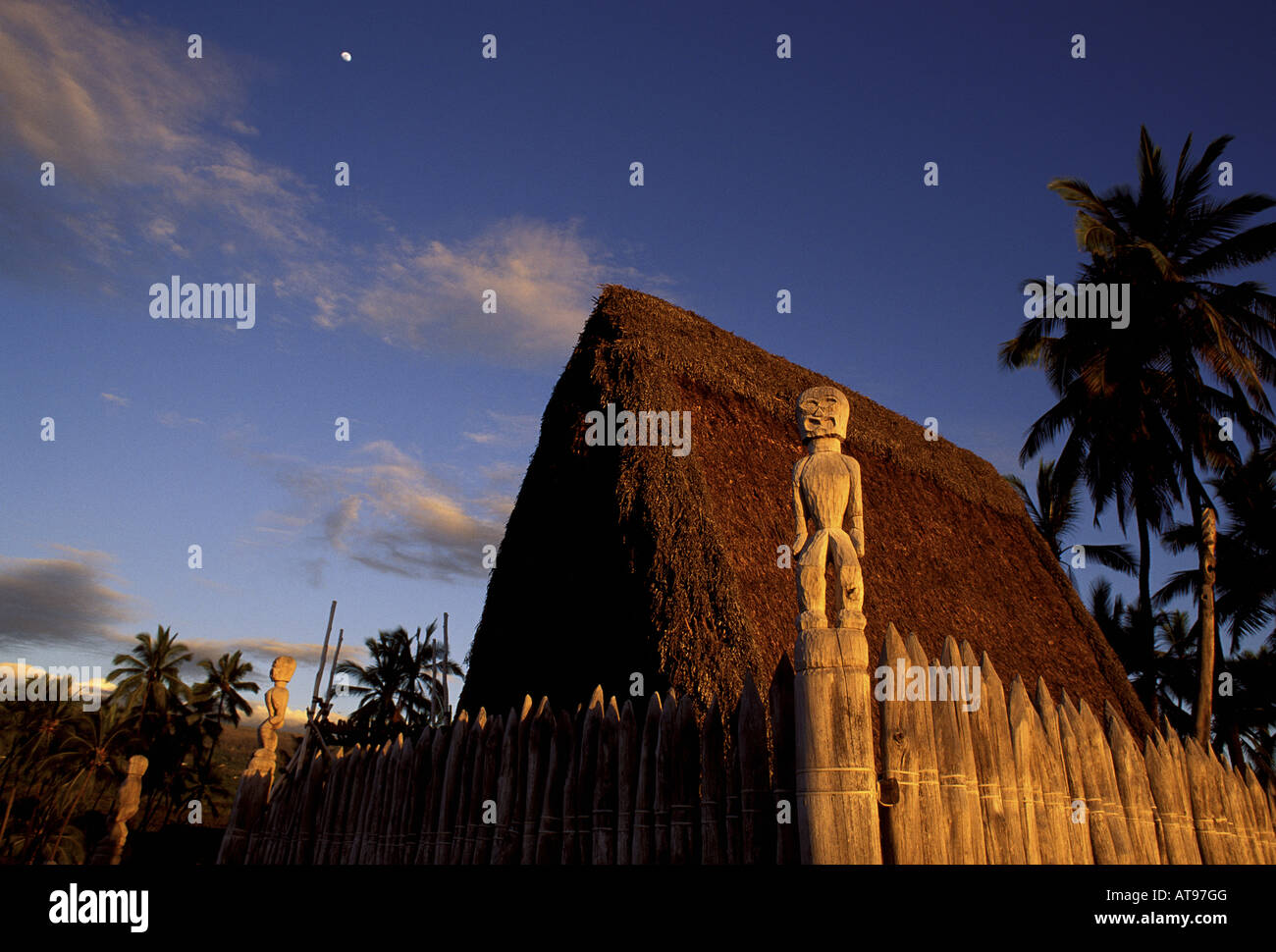Hawaiian artifacts hi-res stock photography and images - Alamy