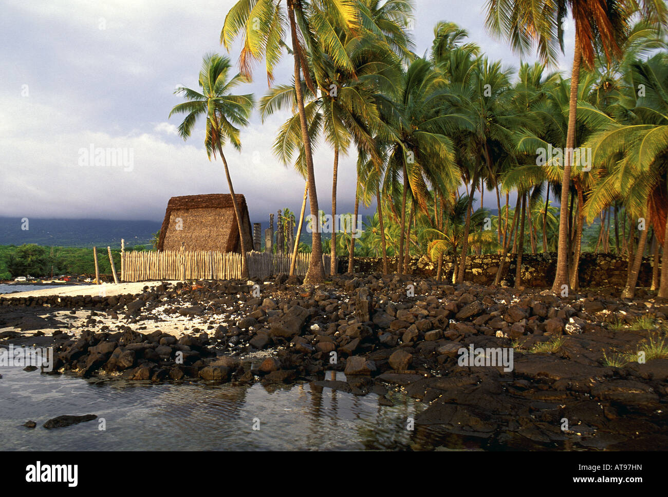 Hawaiian artifacts hi-res stock photography and images - Alamy