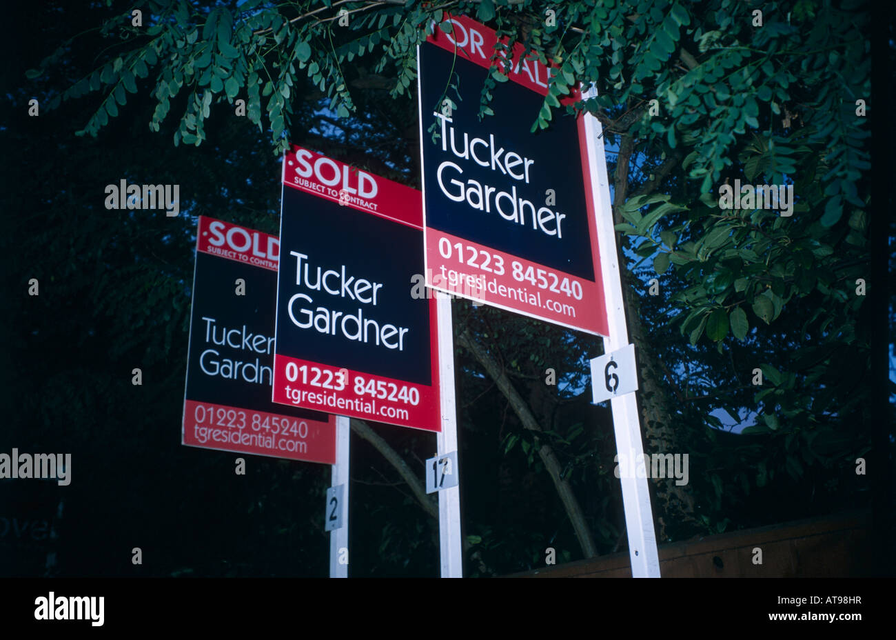 three closely spaced estate agent for sale signs Stock Photo - Alamy