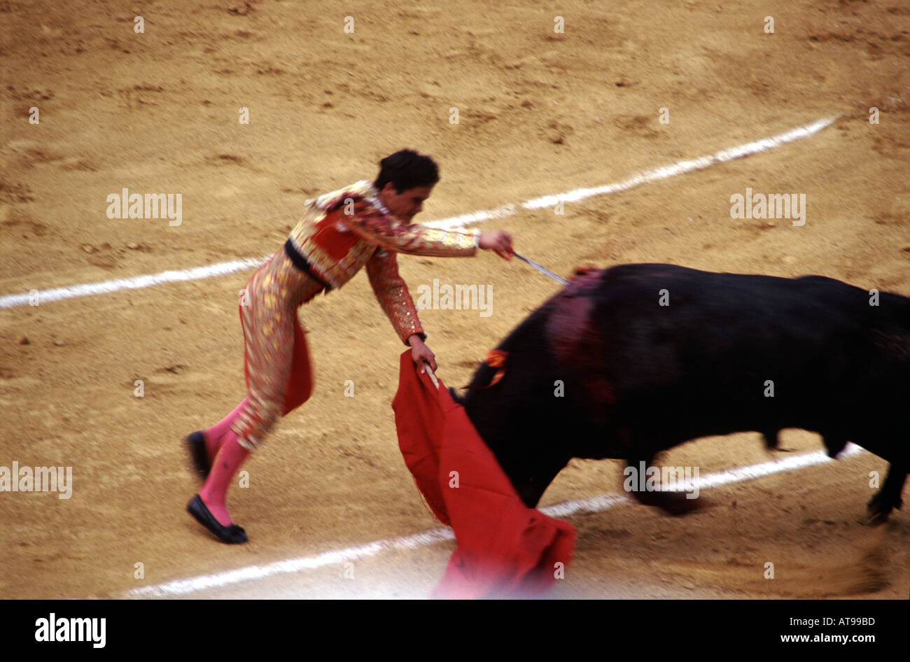 Bull Charging Spain High Resolution Stock Photography and Images - Alamy