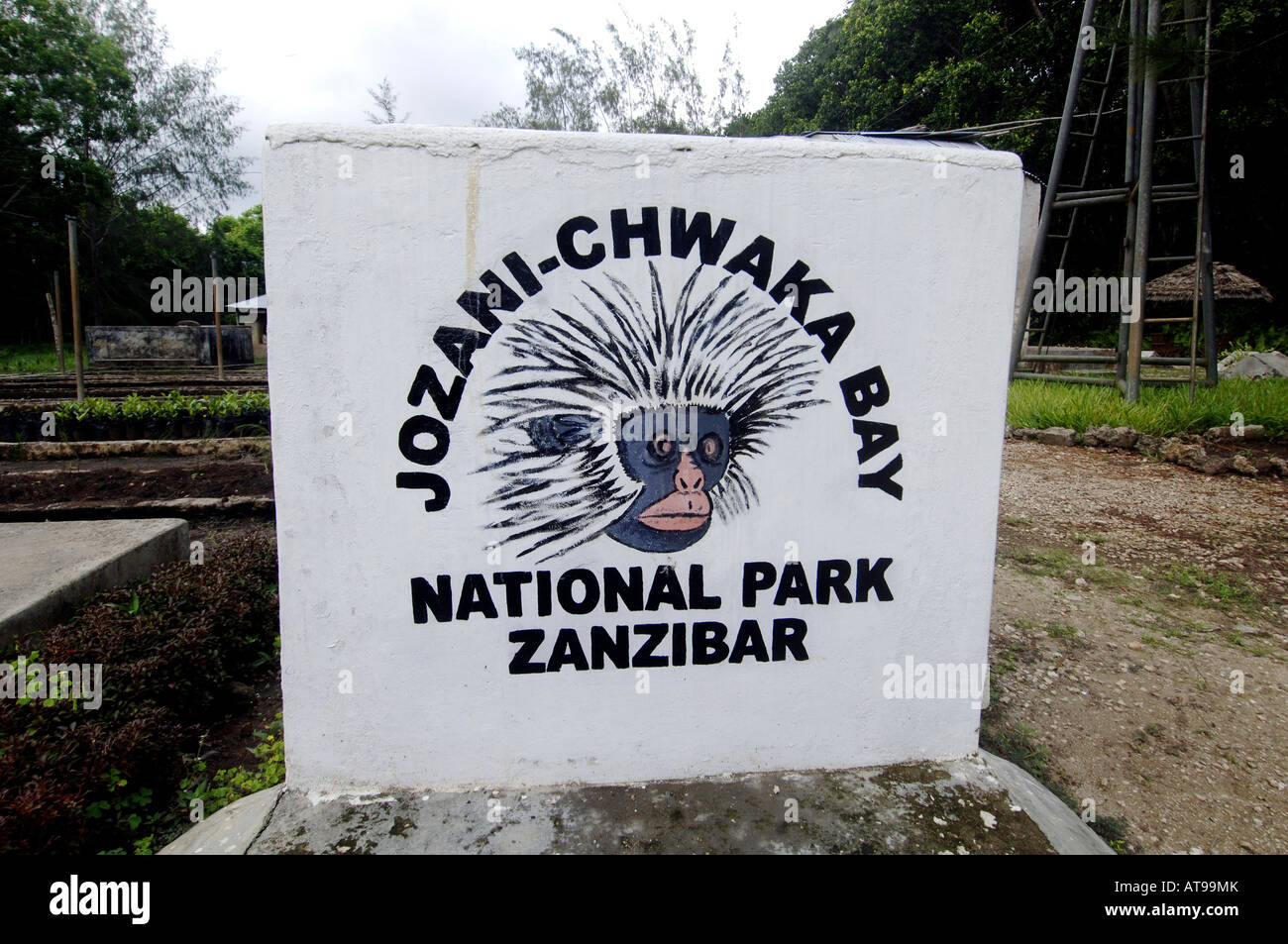 Colobus monkey at the Jozani Chwaka national park in Zanzibar 24 11 07 ...