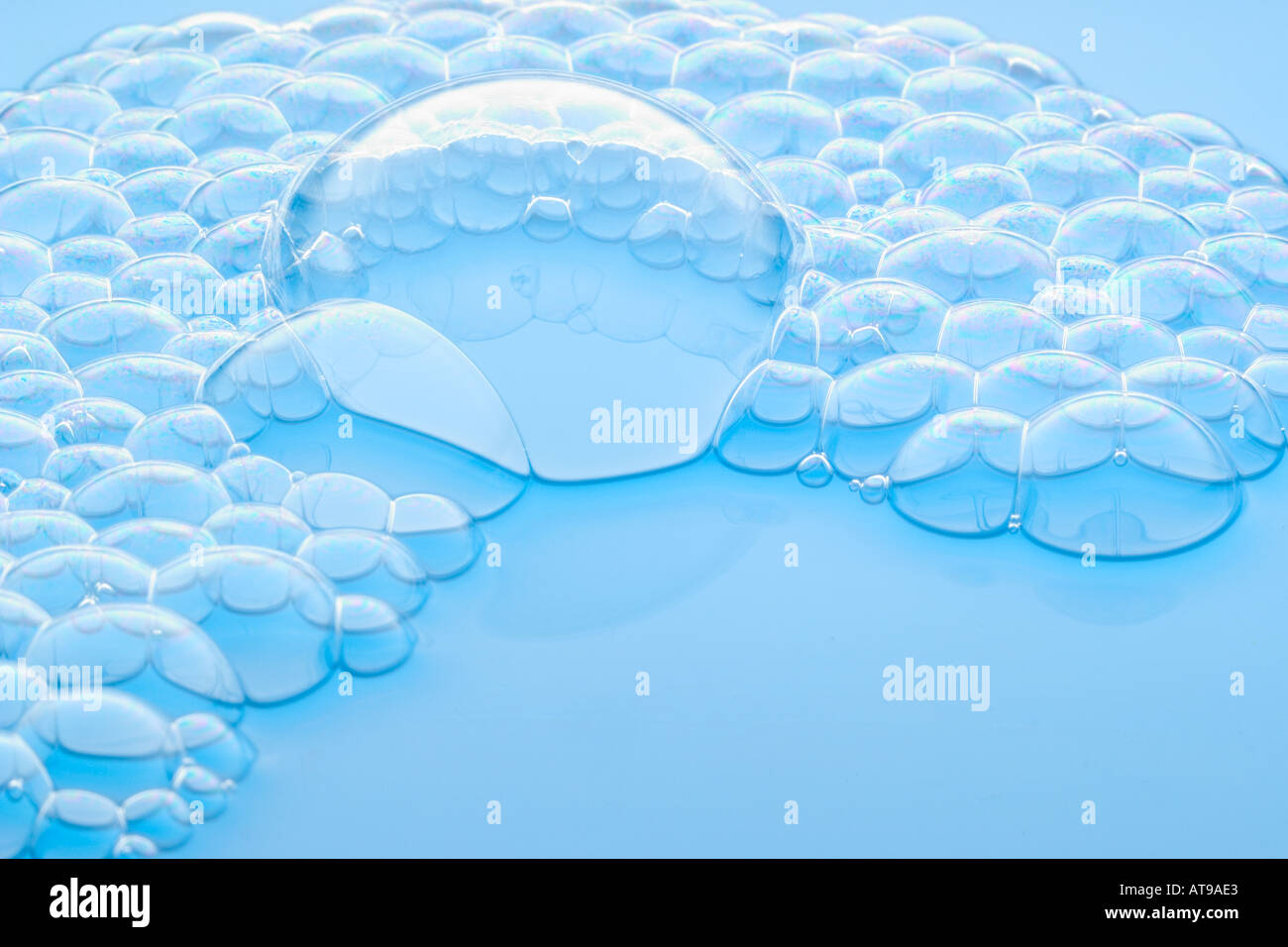soap bubbles floating swimming on water surface studio Stock Photo - Alamy