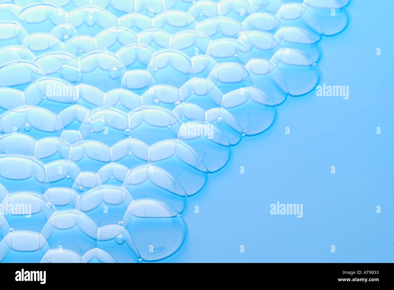 soap bubbles swimming floating on water surface studio Stock Photo - Alamy