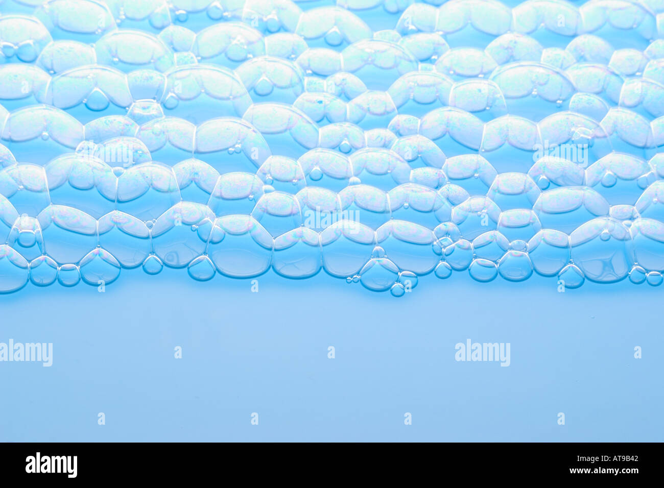 soap bubbles swimming floating on water surface studio Stock Photo - Alamy