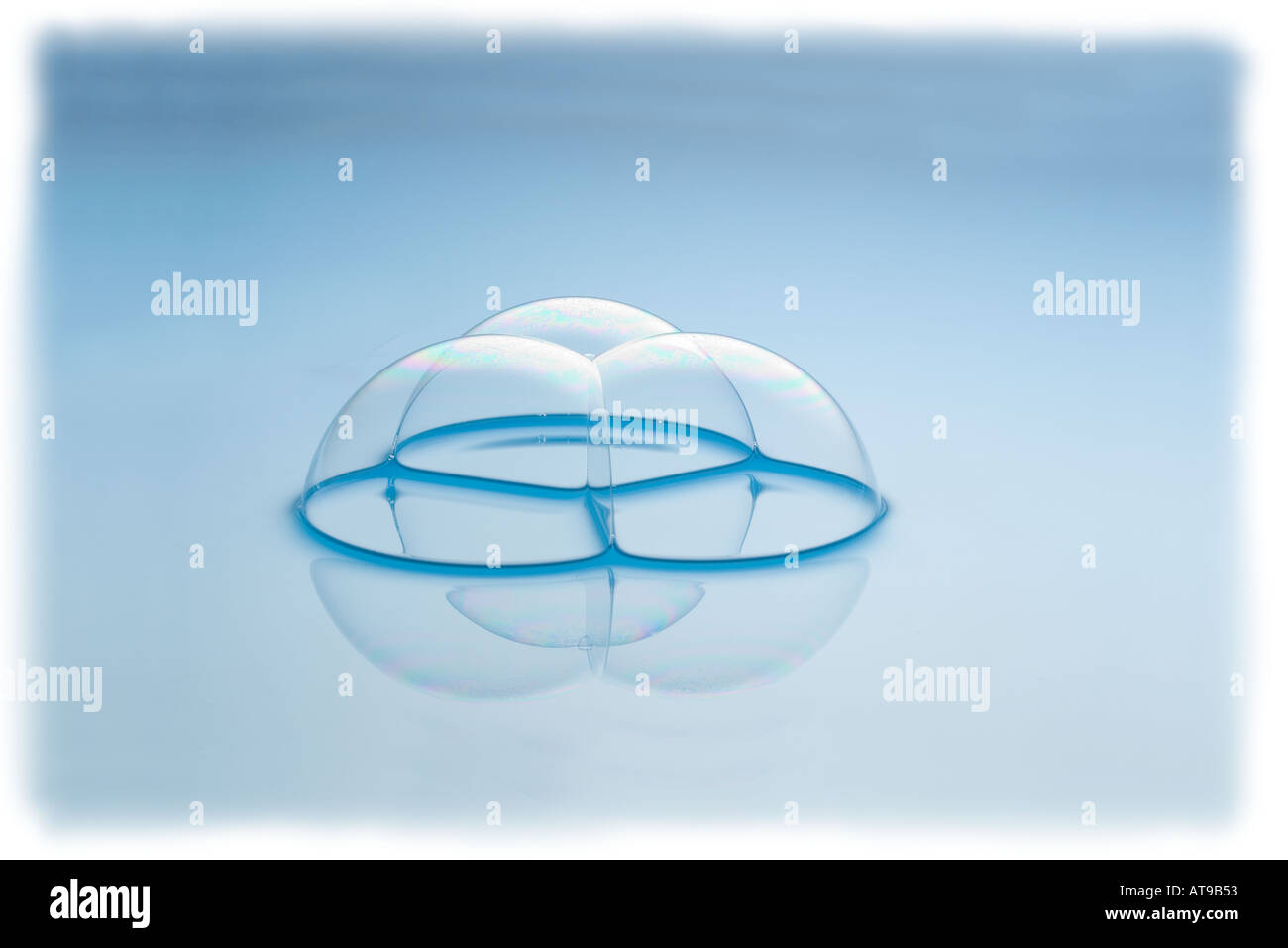 soap bubbles swimming floating on water surface studio Stock Photo - Alamy