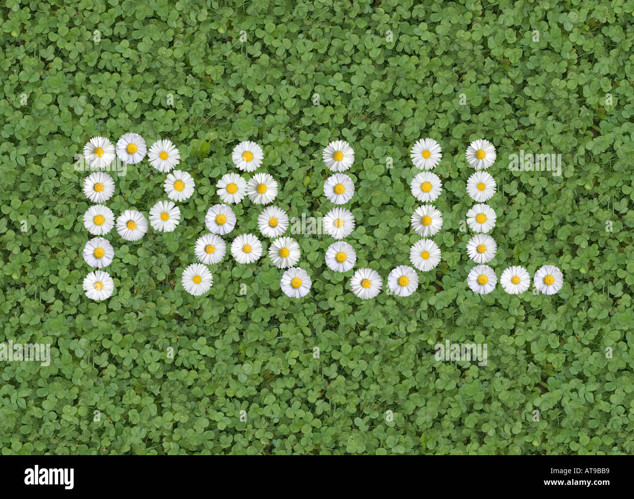 Alphabetic letters hi-res stock photography and images - Alamy