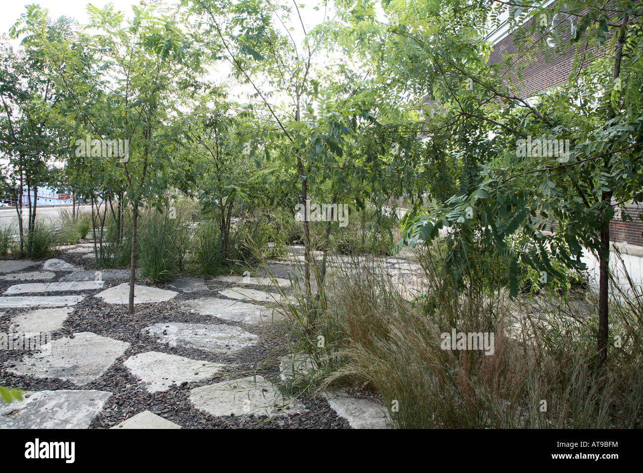 Contemporary urban garden. Created using sections of old concrete slab ...