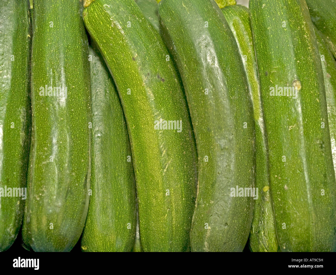 Zucchini courgette Cucurbita pepo squash vegetable for sale Stock Photo ...