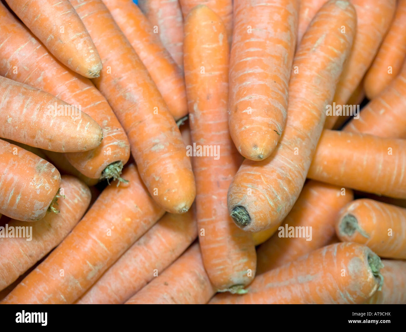 lots of carrots Stock Photo - Alamy