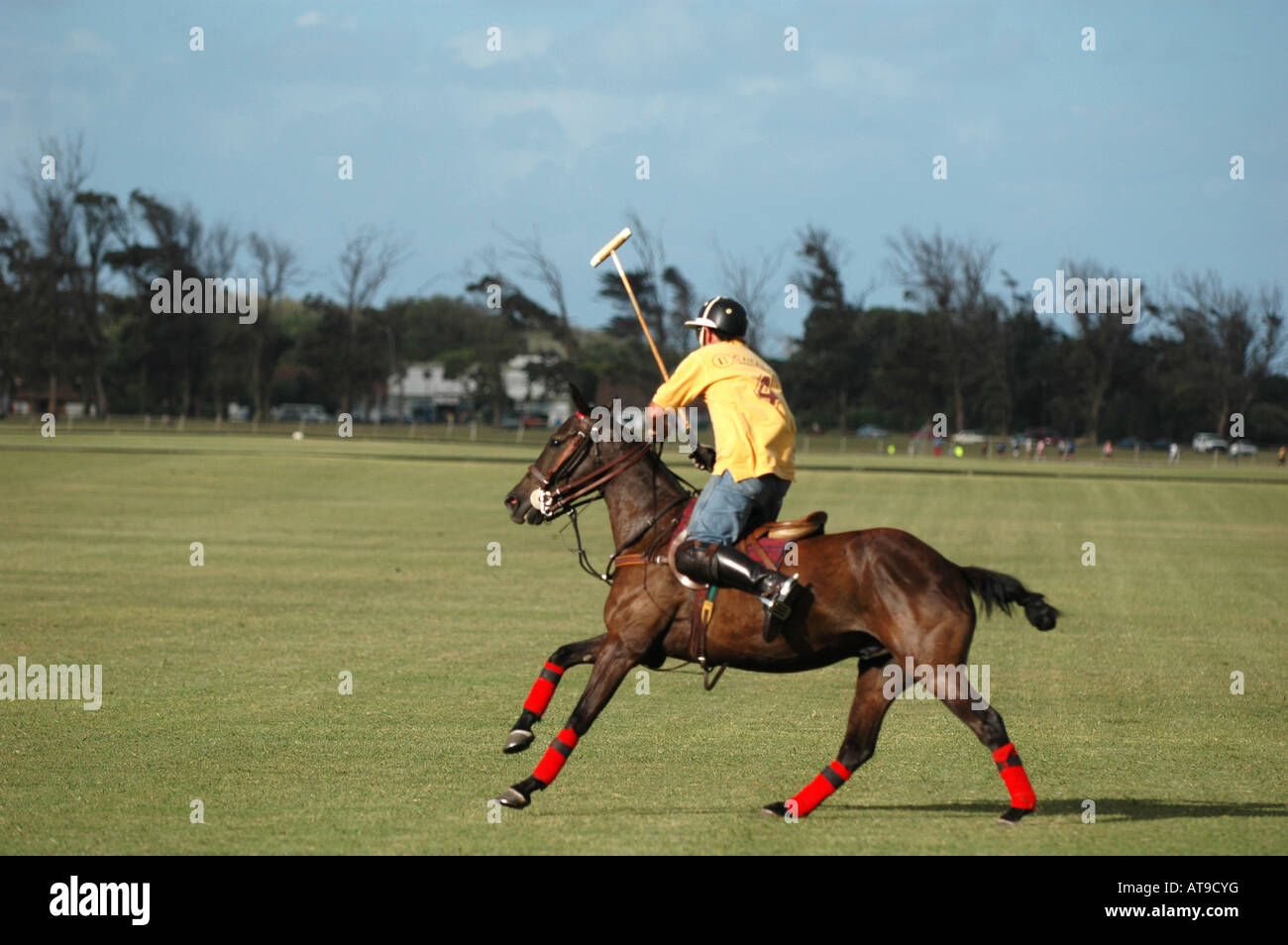 Sport polo player argentina hi-res stock photography and images - Alamy