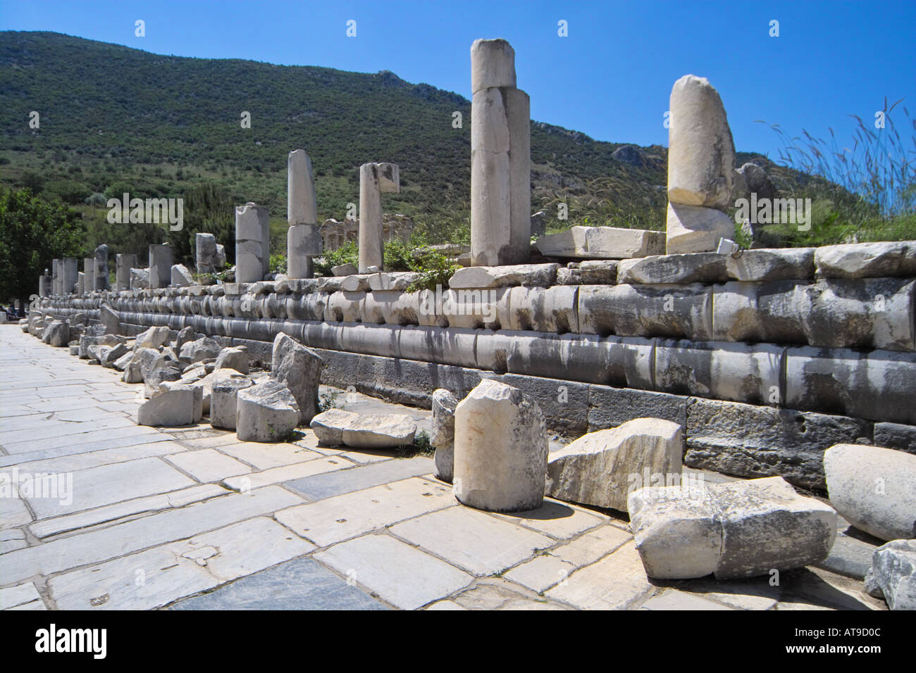 Marble Street in Ephesus Aegean coast of Turkey a famous column lined ...