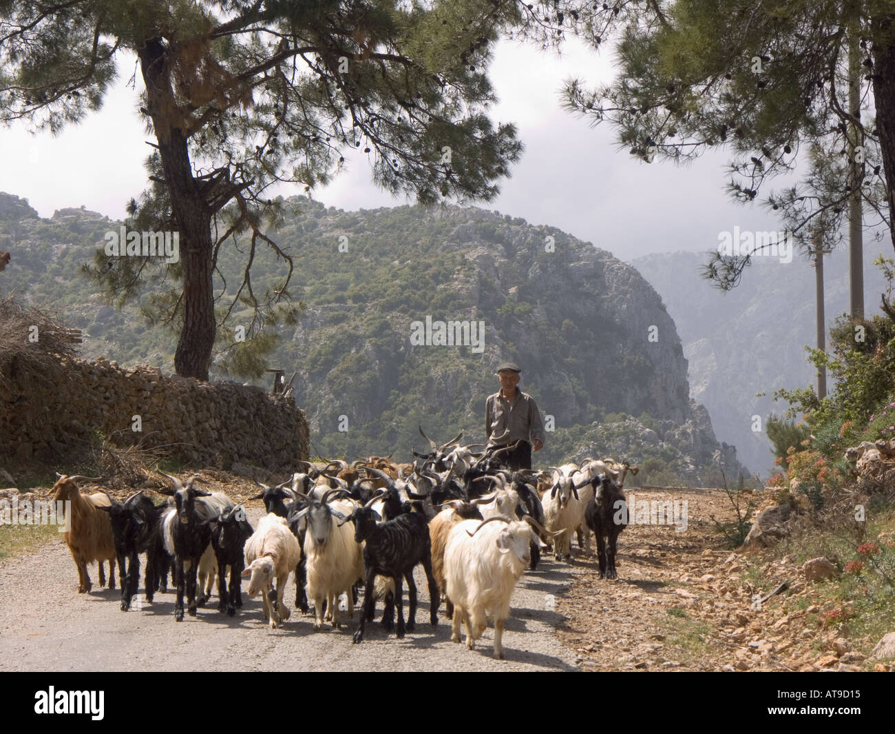 Kavak mountain hi-res stock photography and images - Alamy