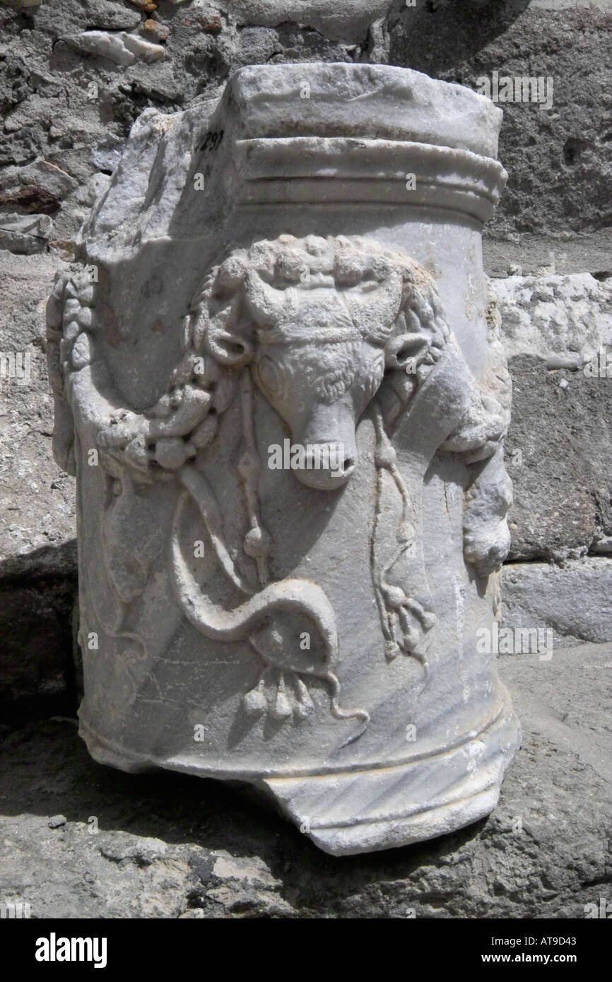 Cult bull hi-res stock photography and images - Alamy