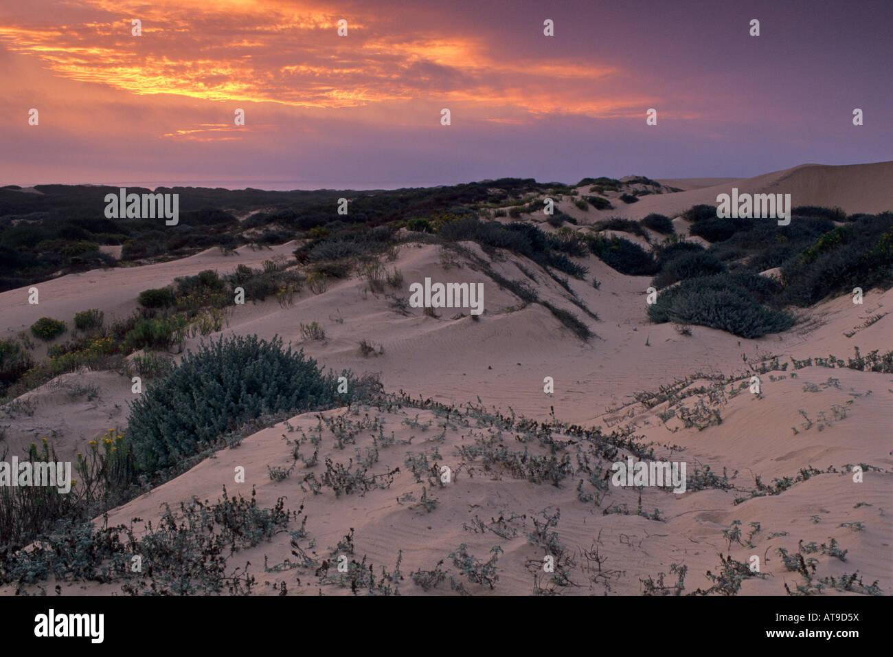 Sunset at the Guadalupe Nipomo Dunes San Luis Obispo County CALIFORNIA ...