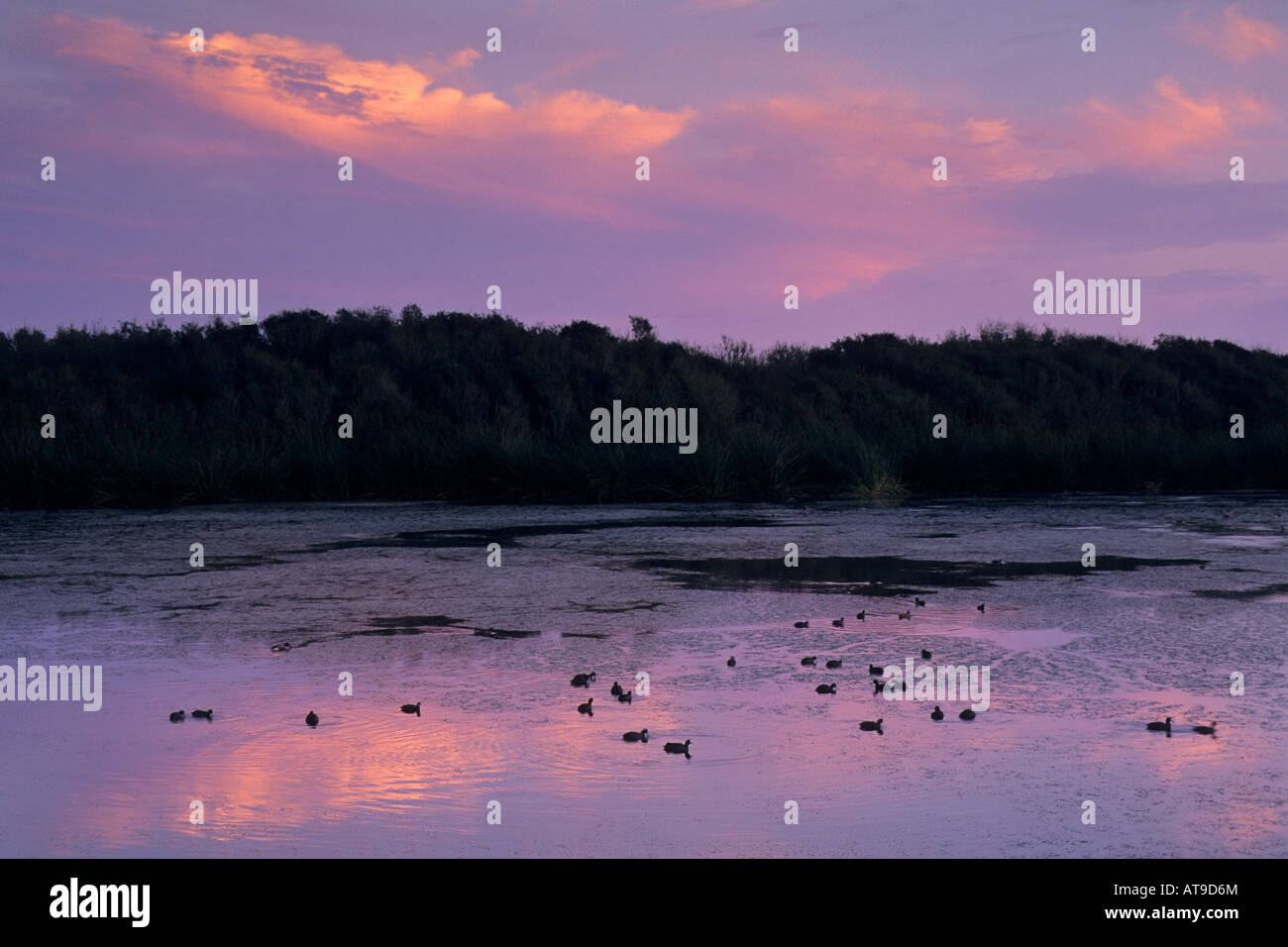 Sunset at Oso Flaco Lake Guadalupe Nipomo Dunes San Luis Obispo County ...