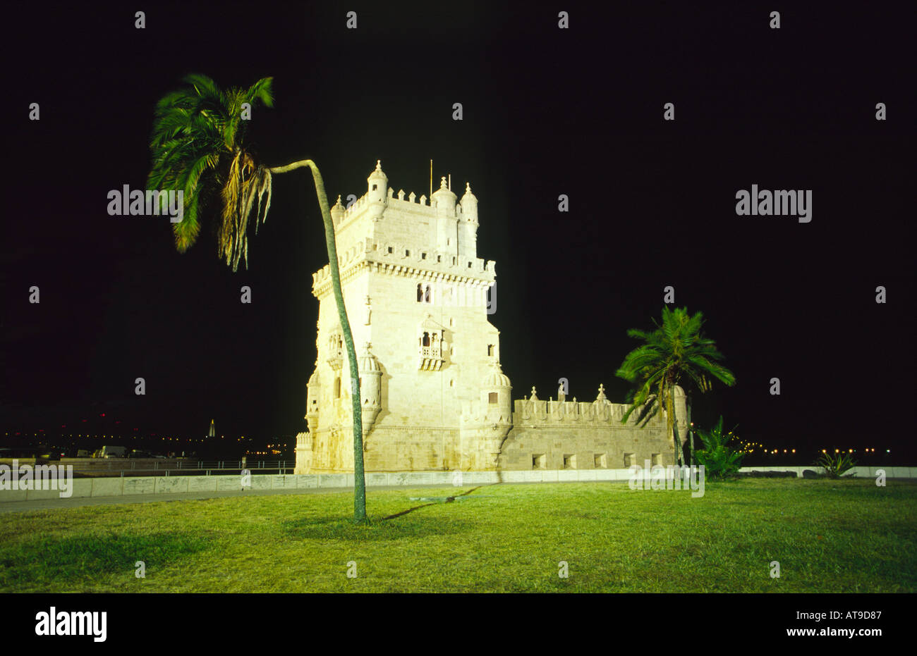 palm tree in front of Torre de Belem Stock Photo - Alamy