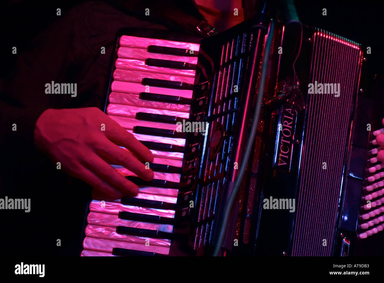 Accordion concert hi-res stock photography and images - Alamy