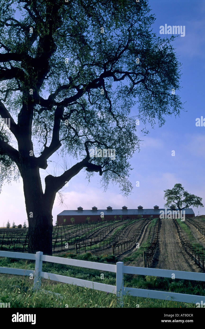 Robert hall winery hi-res stock photography and images - Alamy