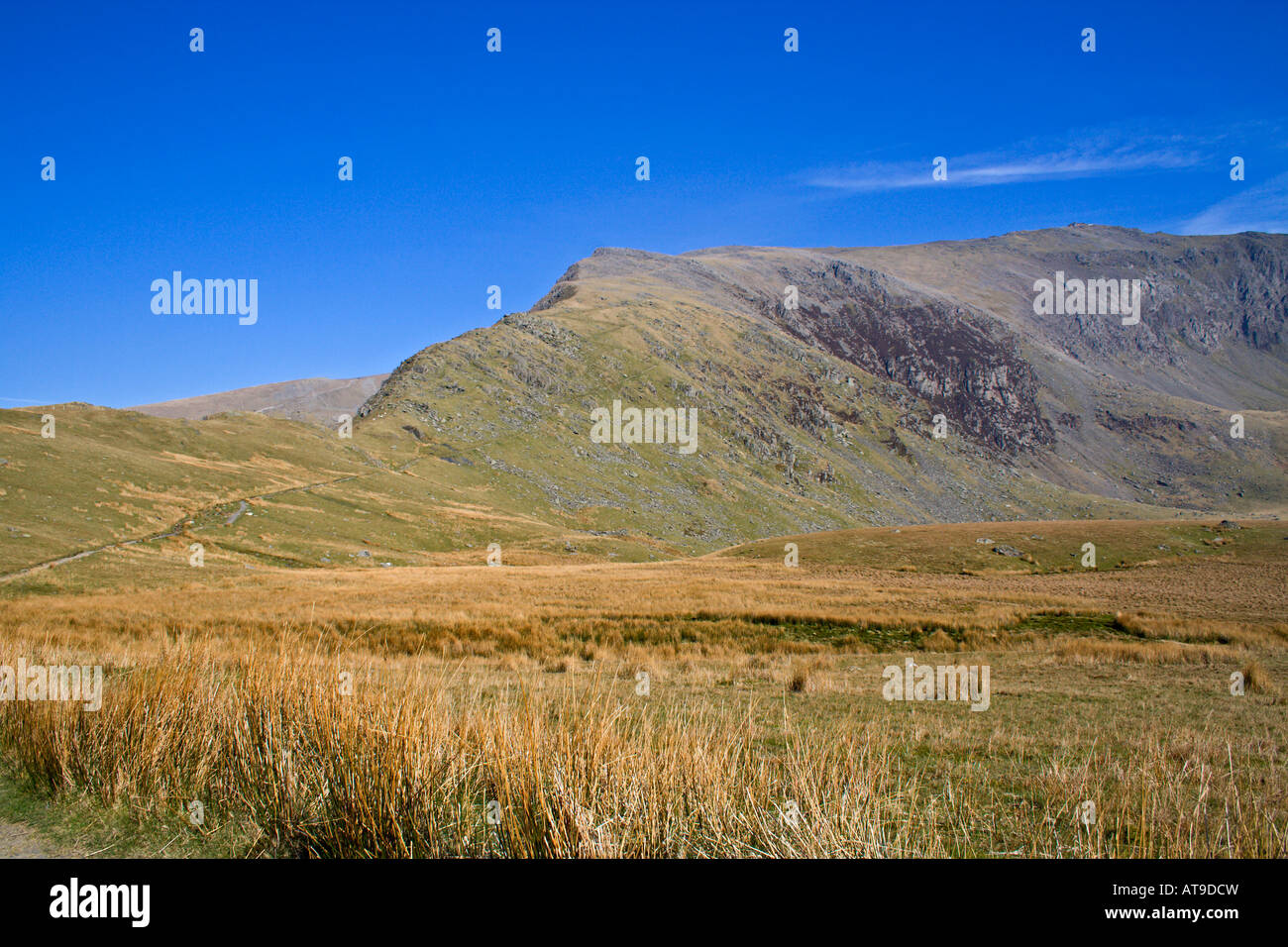 Snowdon ranger hi-res stock photography and images - Alamy