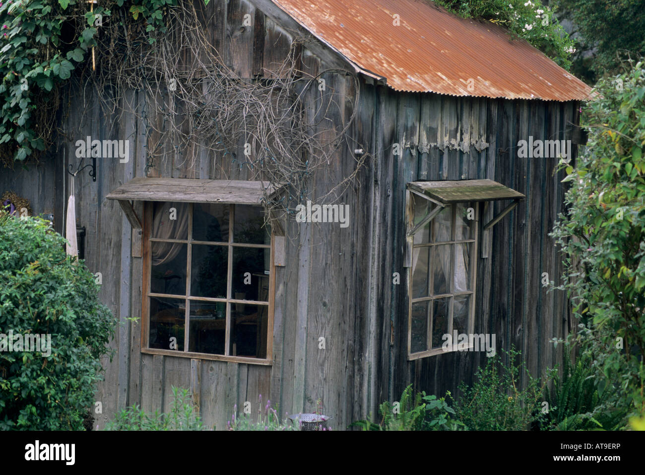 Old wood shack at Old Edna Store Edna Valley near San Luis Obispo San ...