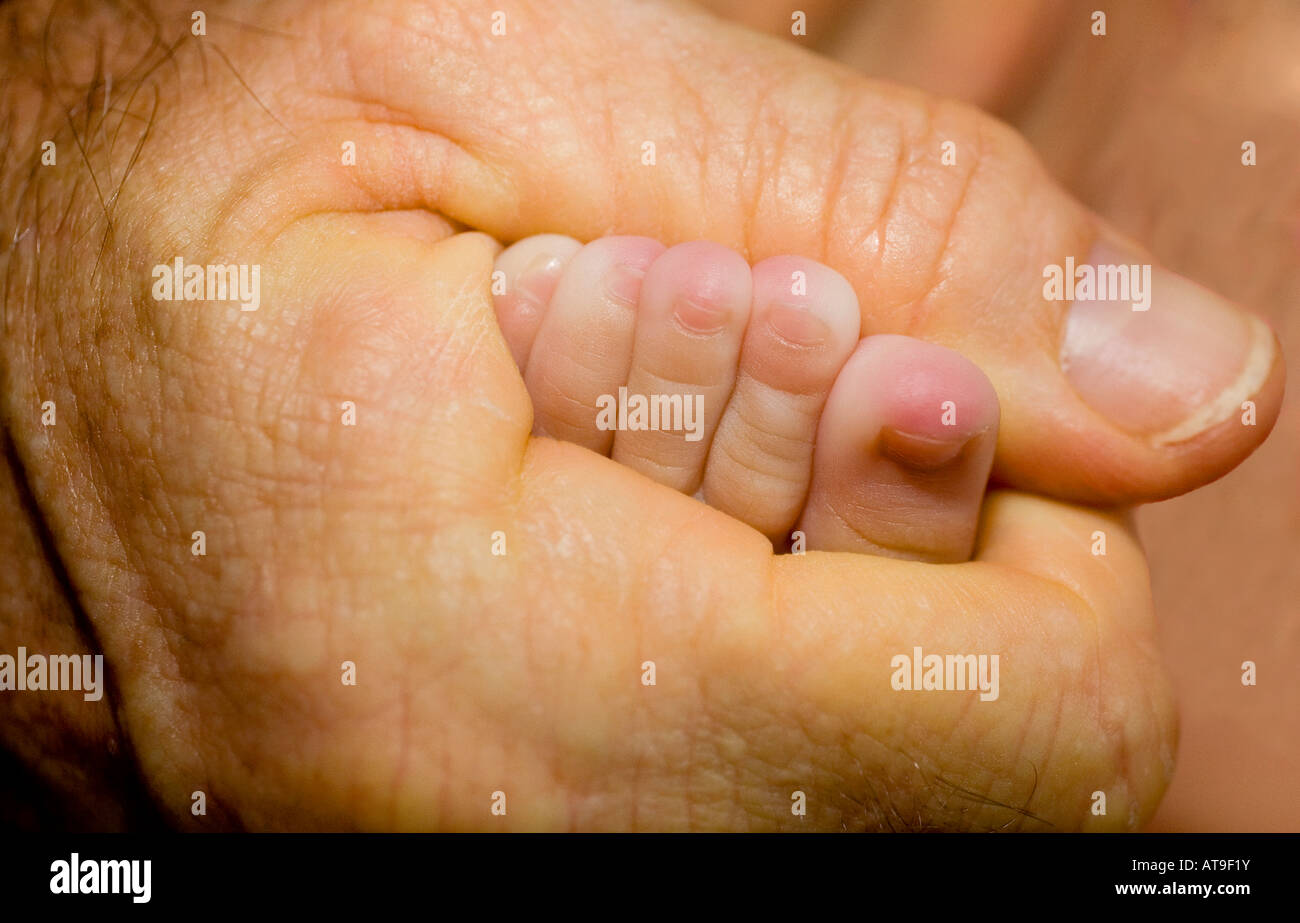 Infant toes hi-res stock photography and images - Alamy