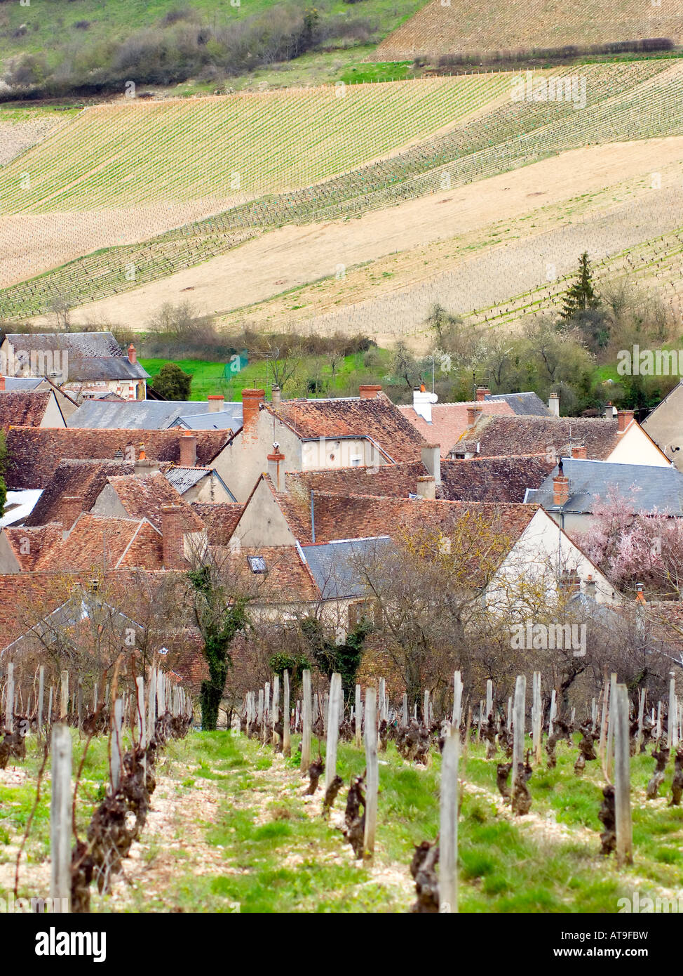 Village of Chavignol near Sancerre in the Loire Valley amidst the ...