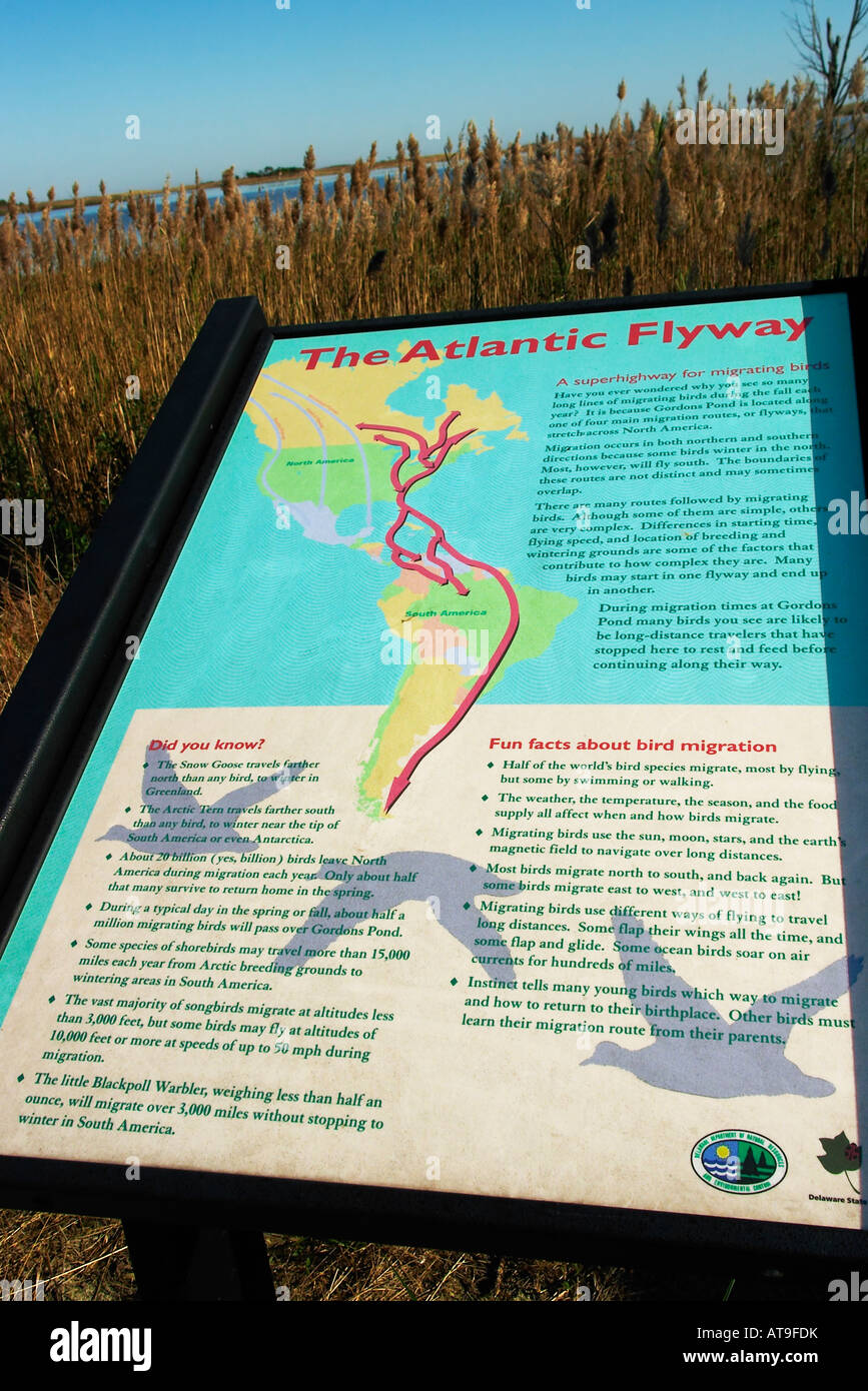 Bird migration flyway map hi-res stock photography and images - Alamy