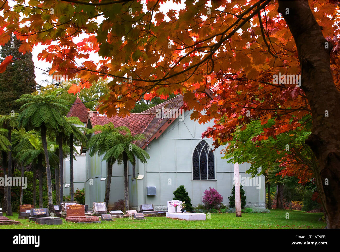 Mt wilson nsw hi-res stock photography and images - Alamy
