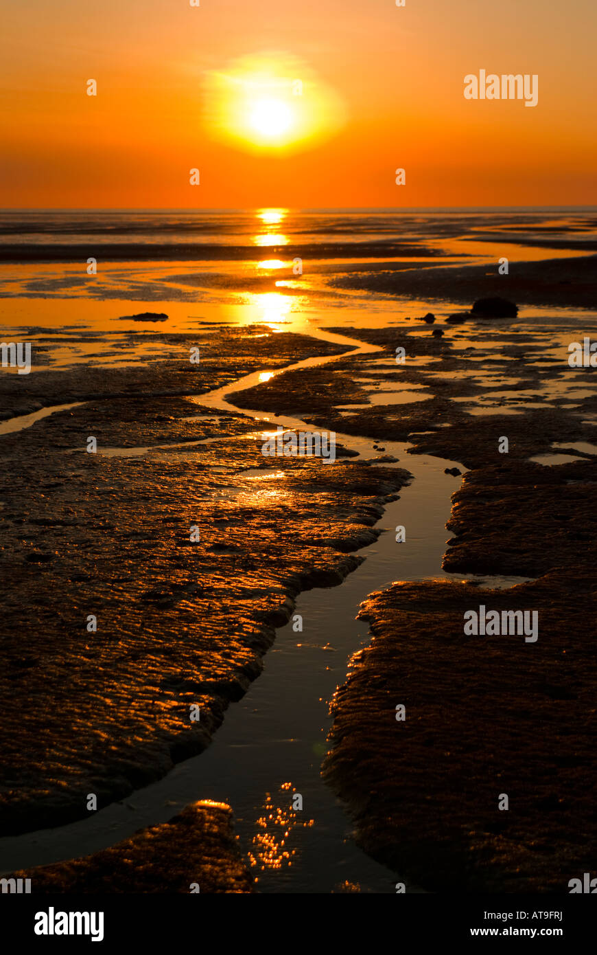 Sunset over the mudflats in Kakadu Stock Photo - Alamy