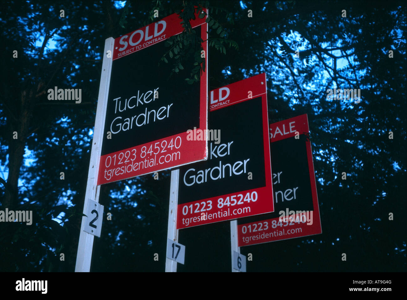 three closely spaced estate agent for sale signs Stock Photo - Alamy