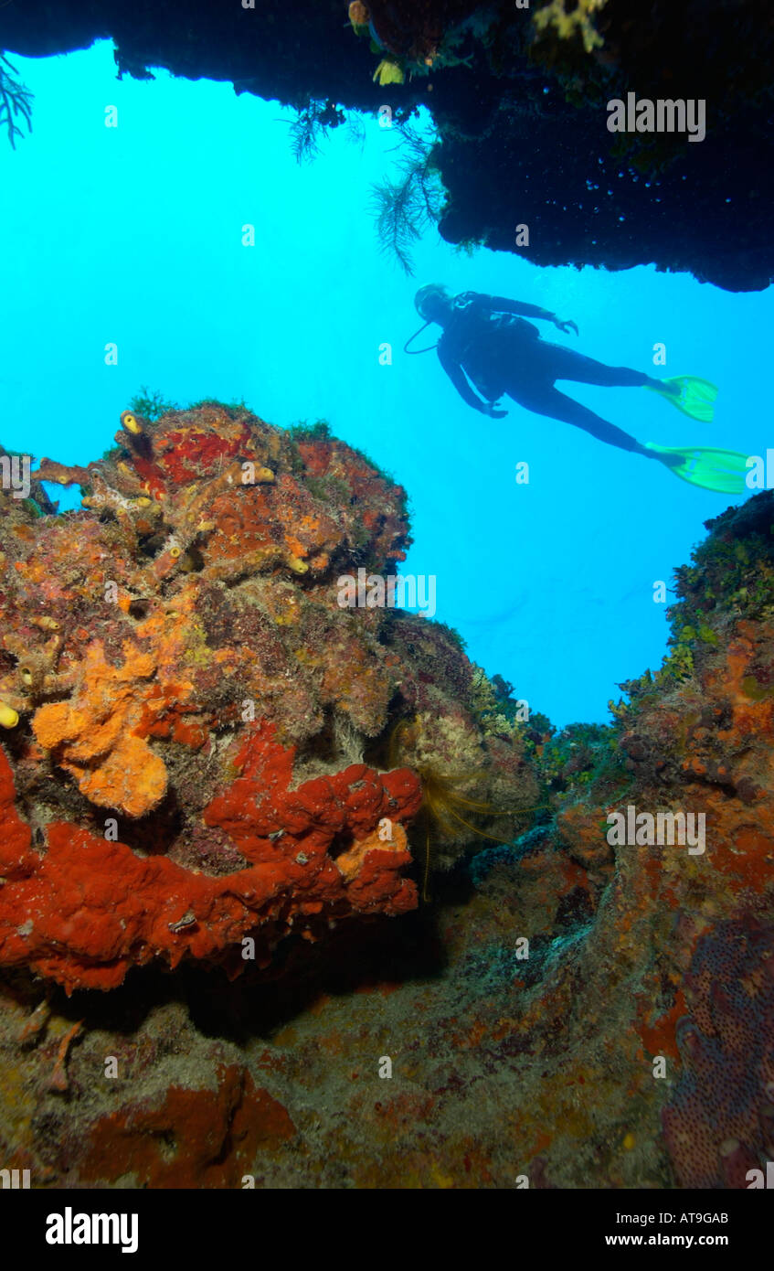 Woman diver above crevice at Tuna Alley North dive site Bahamas Islands ...