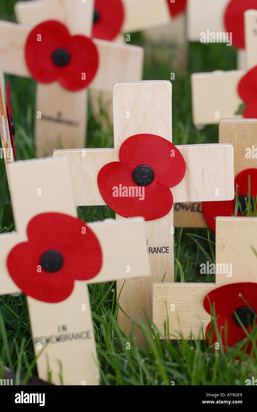 Poppy Day remembrance Sunday poppies and memorial cross Stock Photo - Alamy