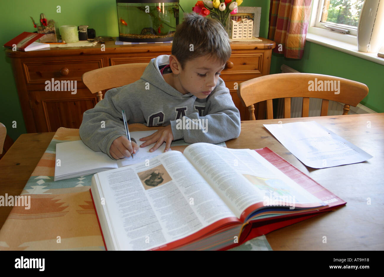 Young boy doing research for school homework at home Stock Photo - Alamy