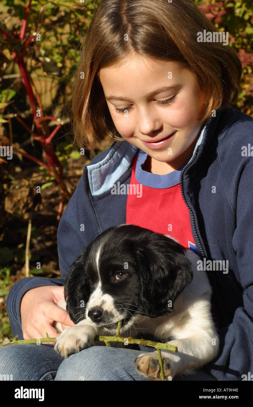 Puppy dog English springer Spaniel with pround young girl Stock Photo ...