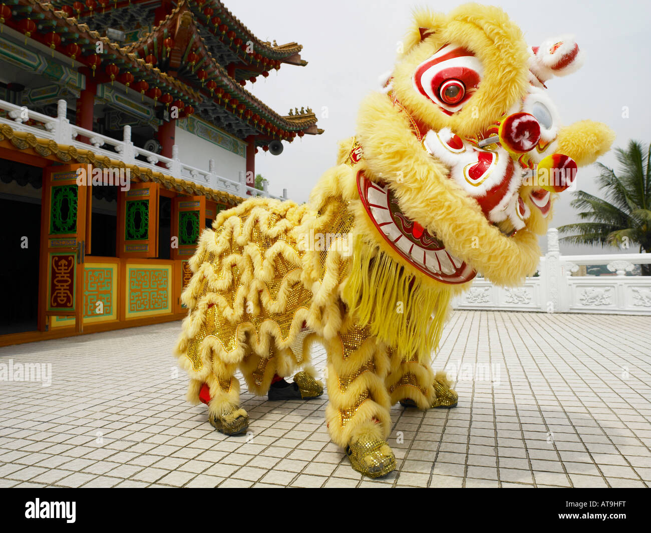 profile of lion dance performers in the temple Stock Photo - Alamy