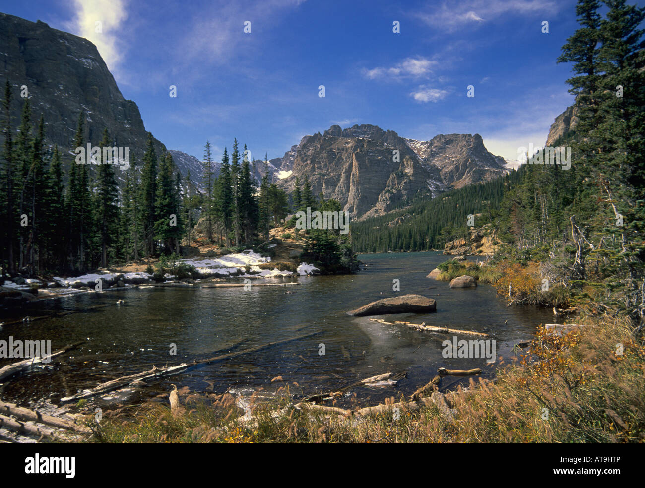 Sharkstooth hi-res stock photography and images - Alamy