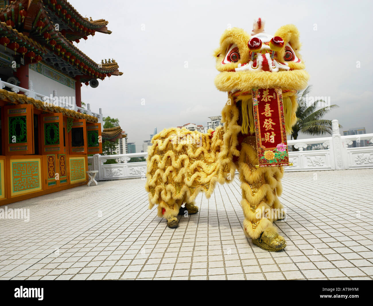 Lion dance performer chinese banner hi-res stock photography and images ...