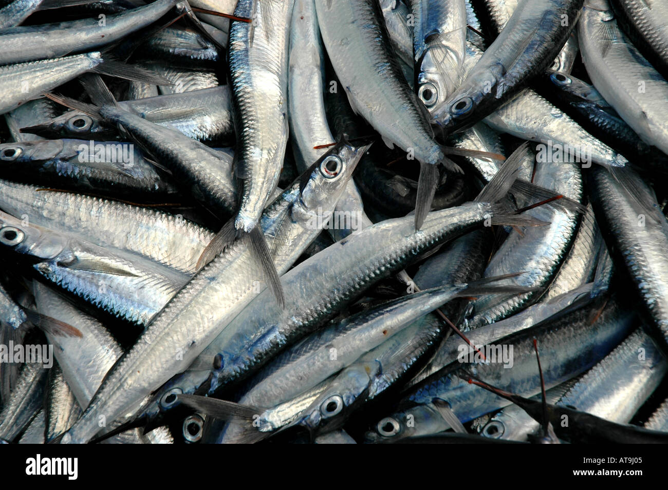 Traditional fish market in hi-res stock photography and images - Alamy