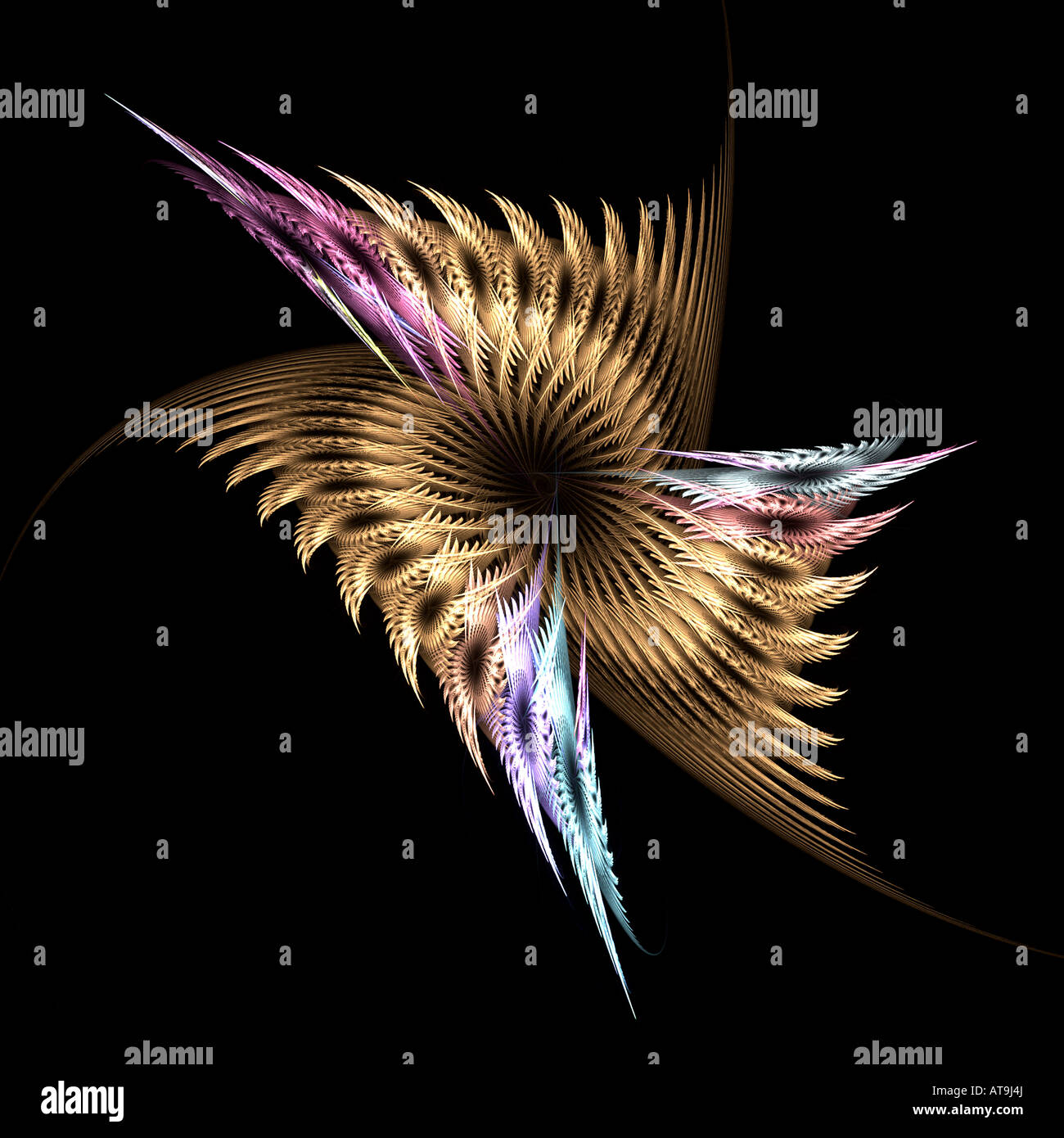 Feathered wings hi-res stock photography and images - Alamy