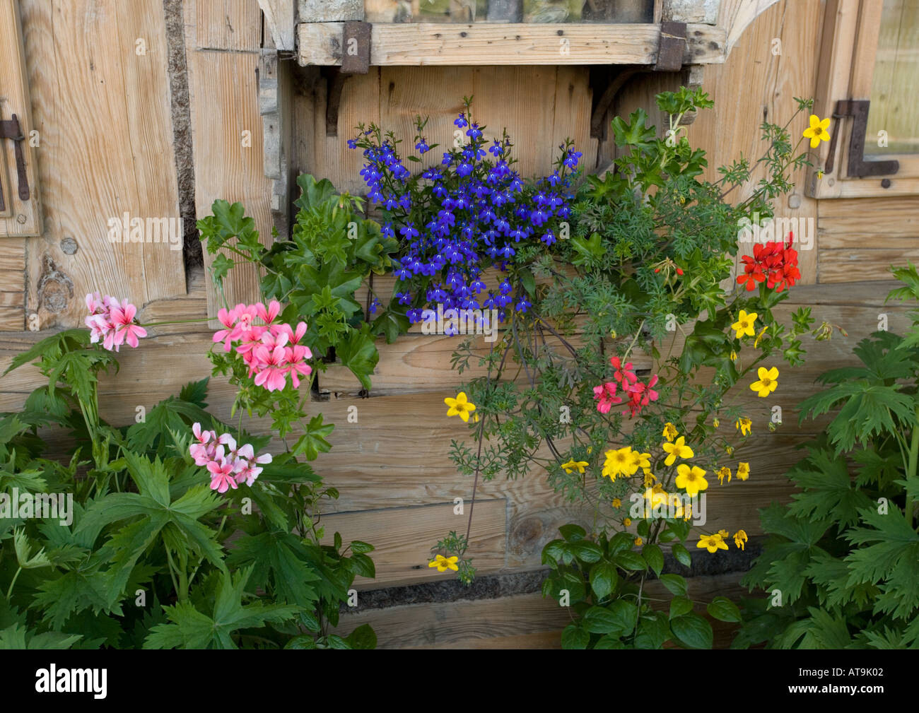 Poland wood hi-res stock photography and images - Alamy