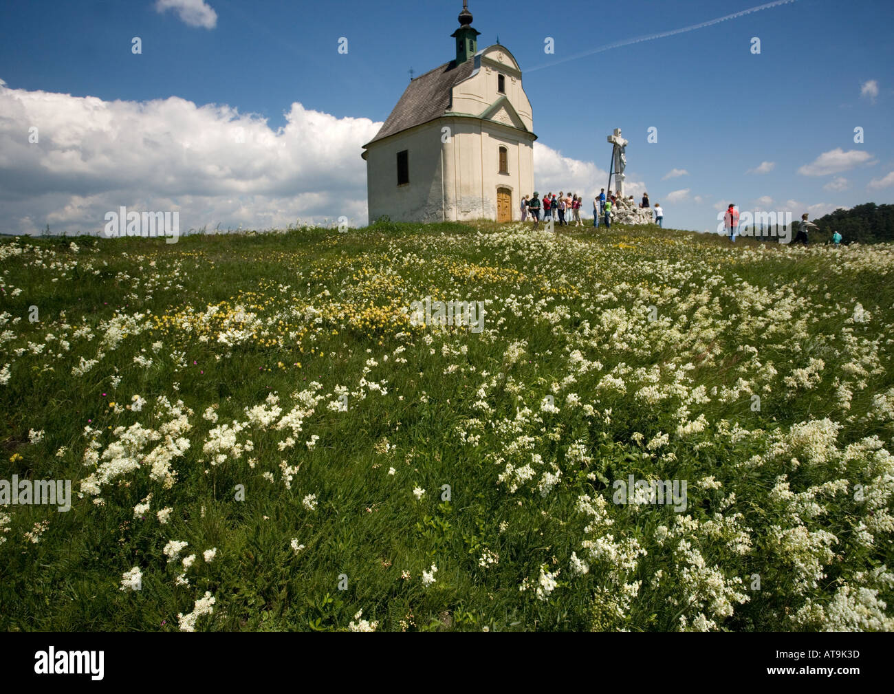 Beautiful flowery calcareous grassland in Siva Brada nature reserve ...