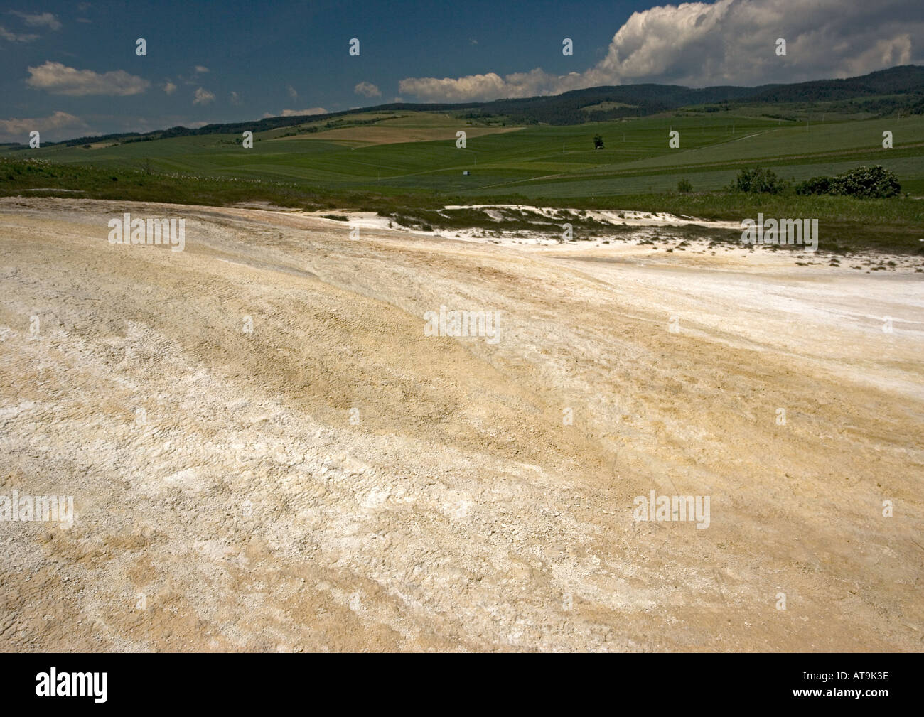 Salt spring area in Siva Brada nature reserve Slovakia Stock Photo - Alamy