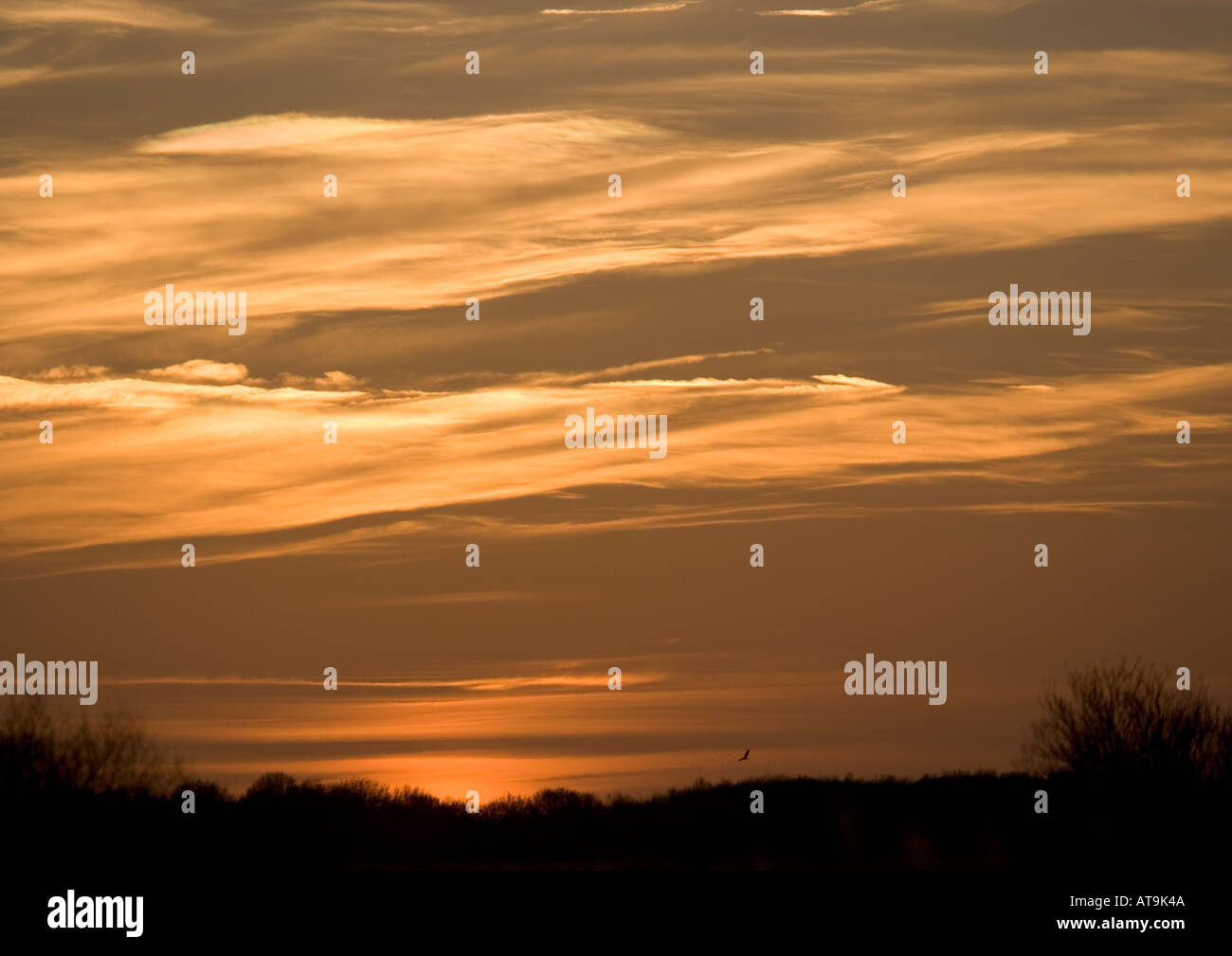 December in norfolk hi-res stock photography and images - Alamy