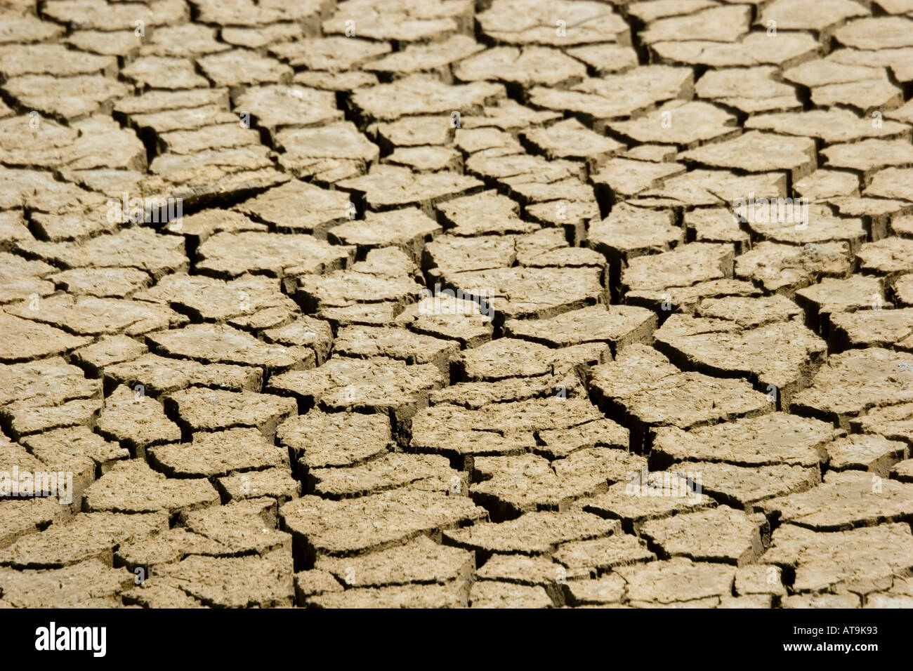 Cracked dried ground during drought Stock Photo - Alamy