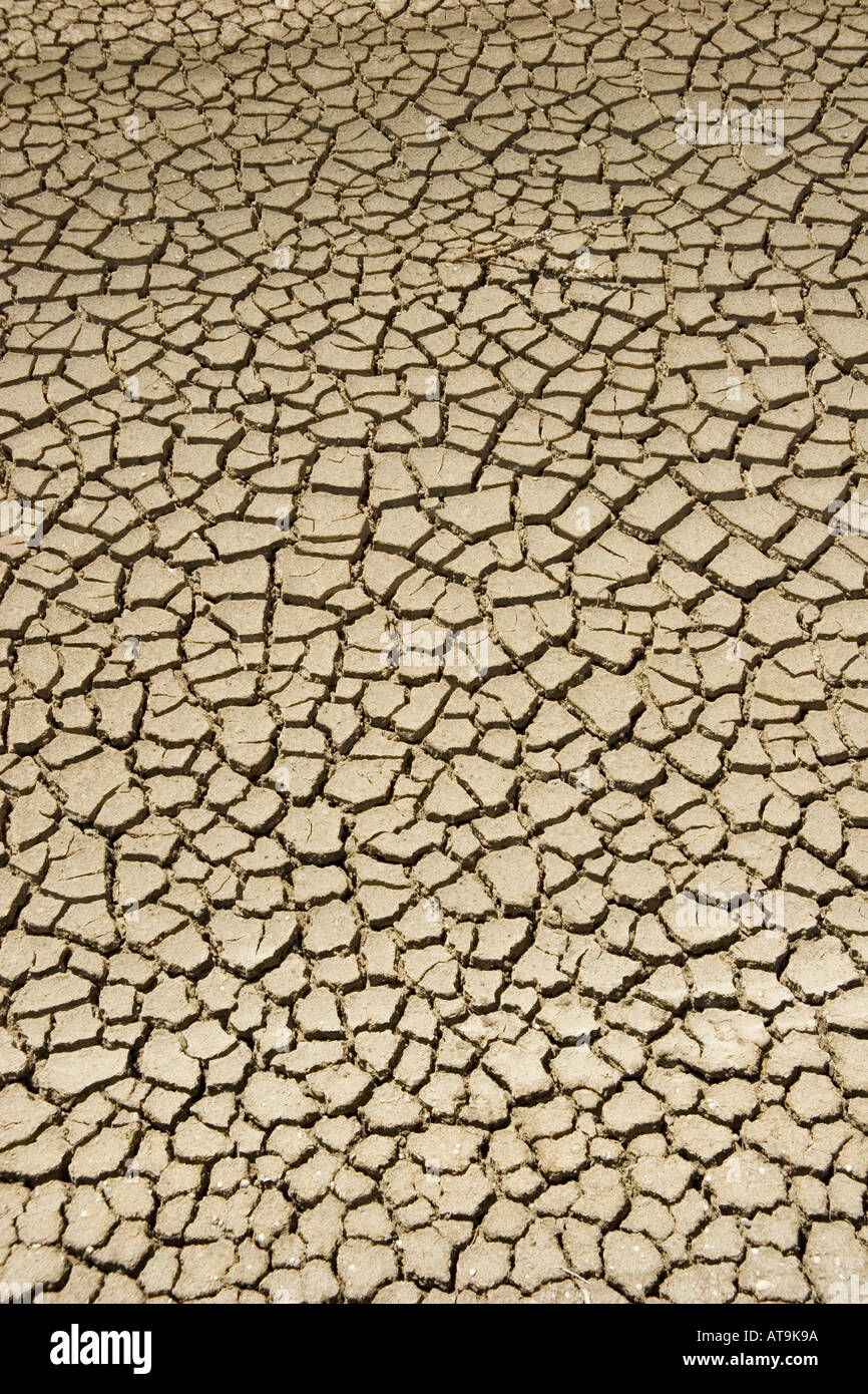 Cracked dried ground during drought Stock Photo - Alamy