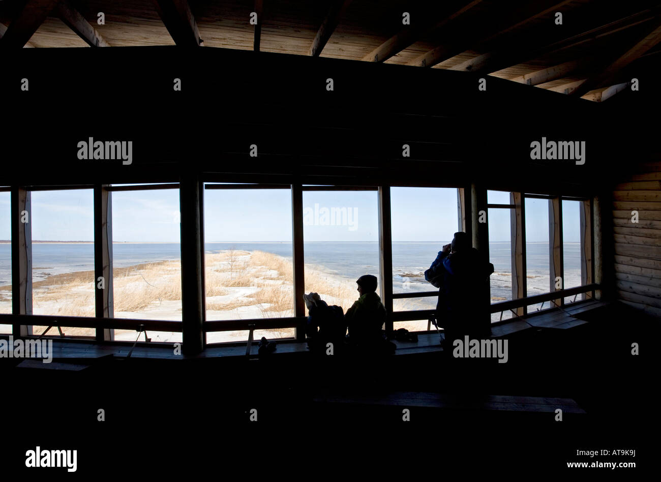 Birdwatchers in a hide hi-res stock photography and images - Alamy