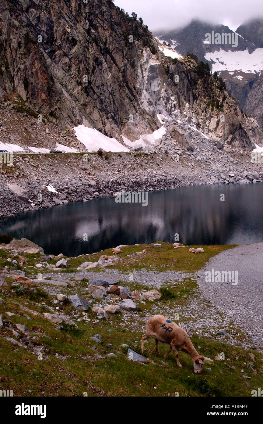 Lac de Cap de Long in the French Pyrenees towards Pic de Neouvielle ...