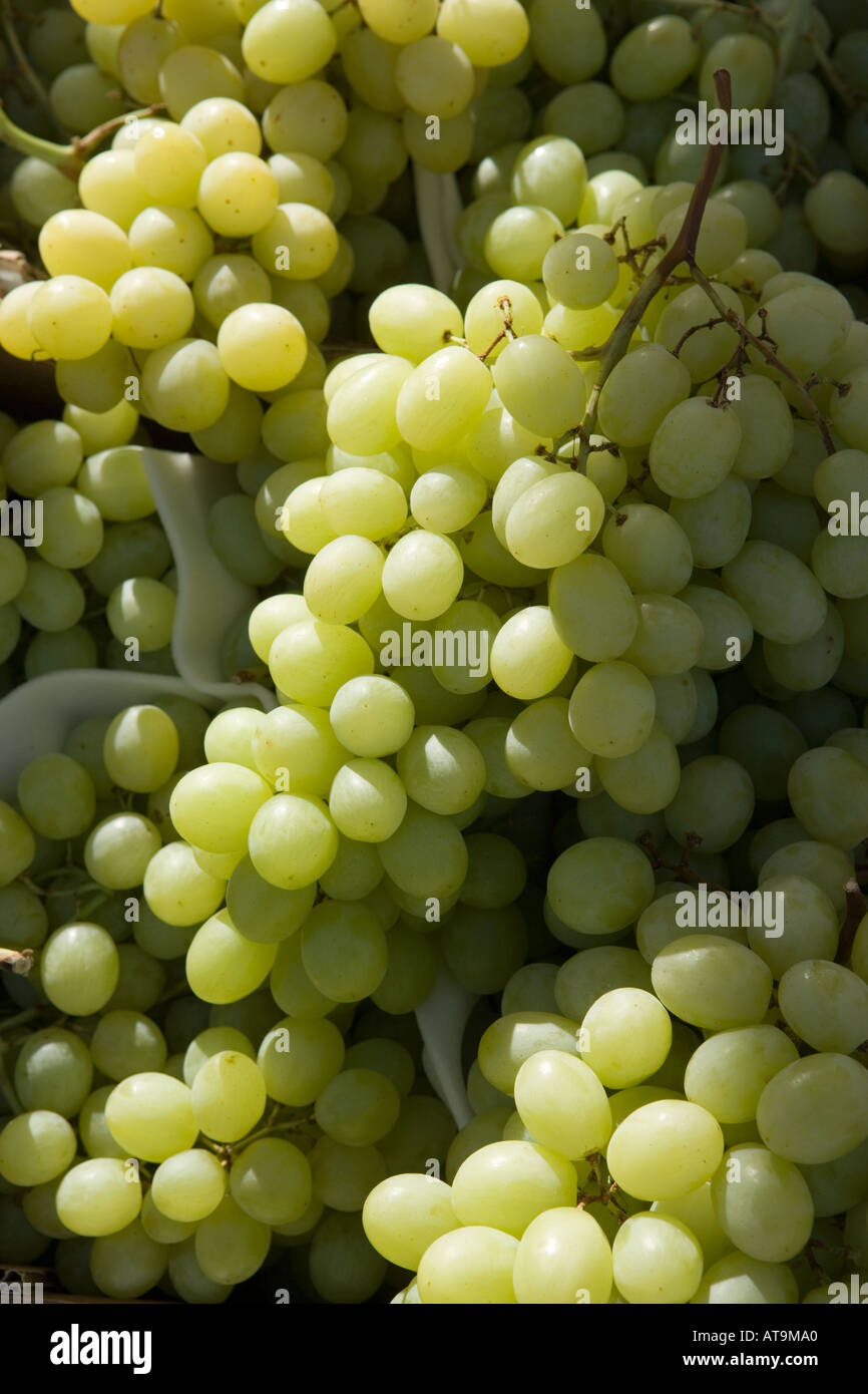 Bunches of green grapes Stock Photo - Alamy